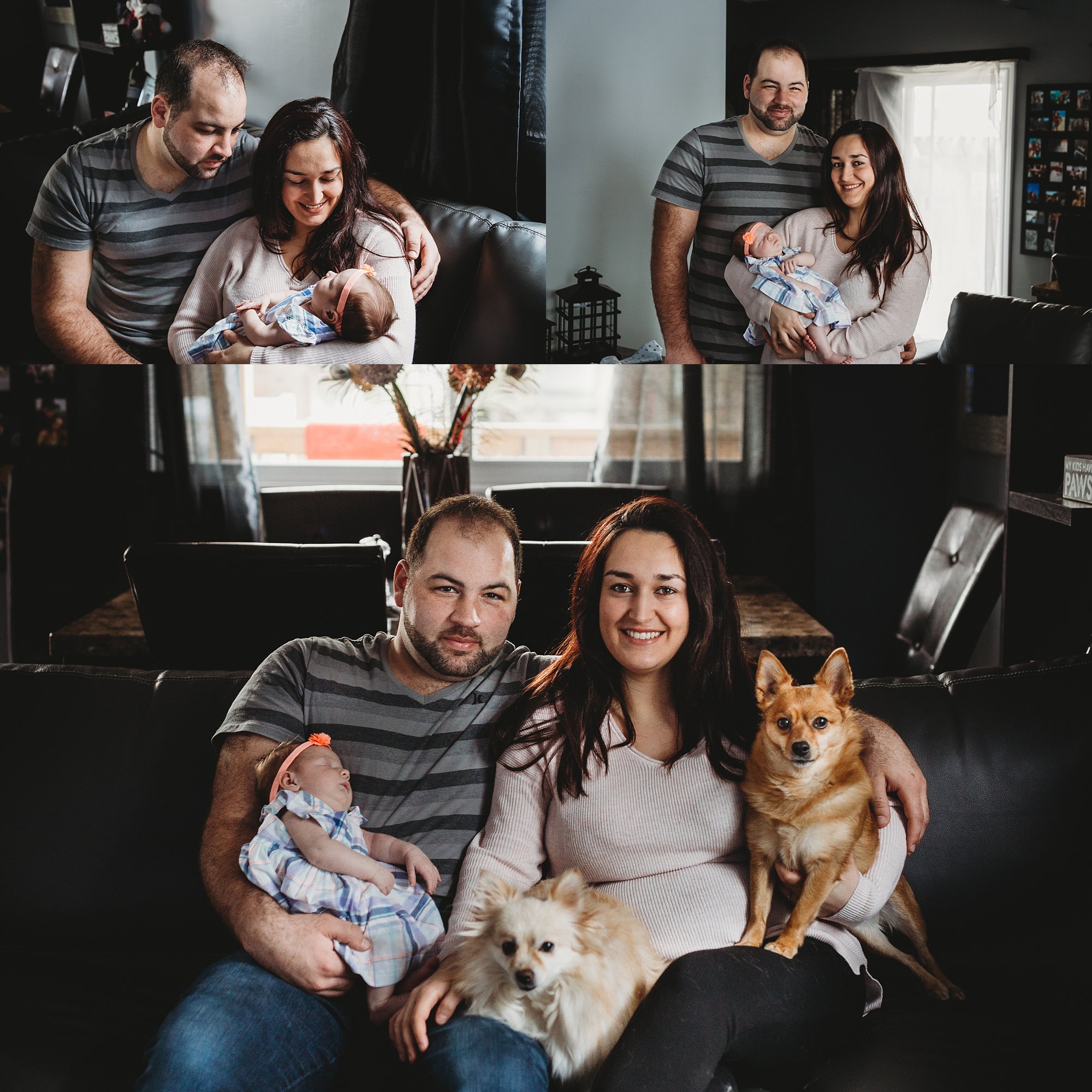 Baby Arianna | Hamilton Newborn Photographer - Jennifer Blaak ...